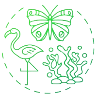 Rk Solar Energy - On Grid Solar Systems Provider | Off Grid Solar ...